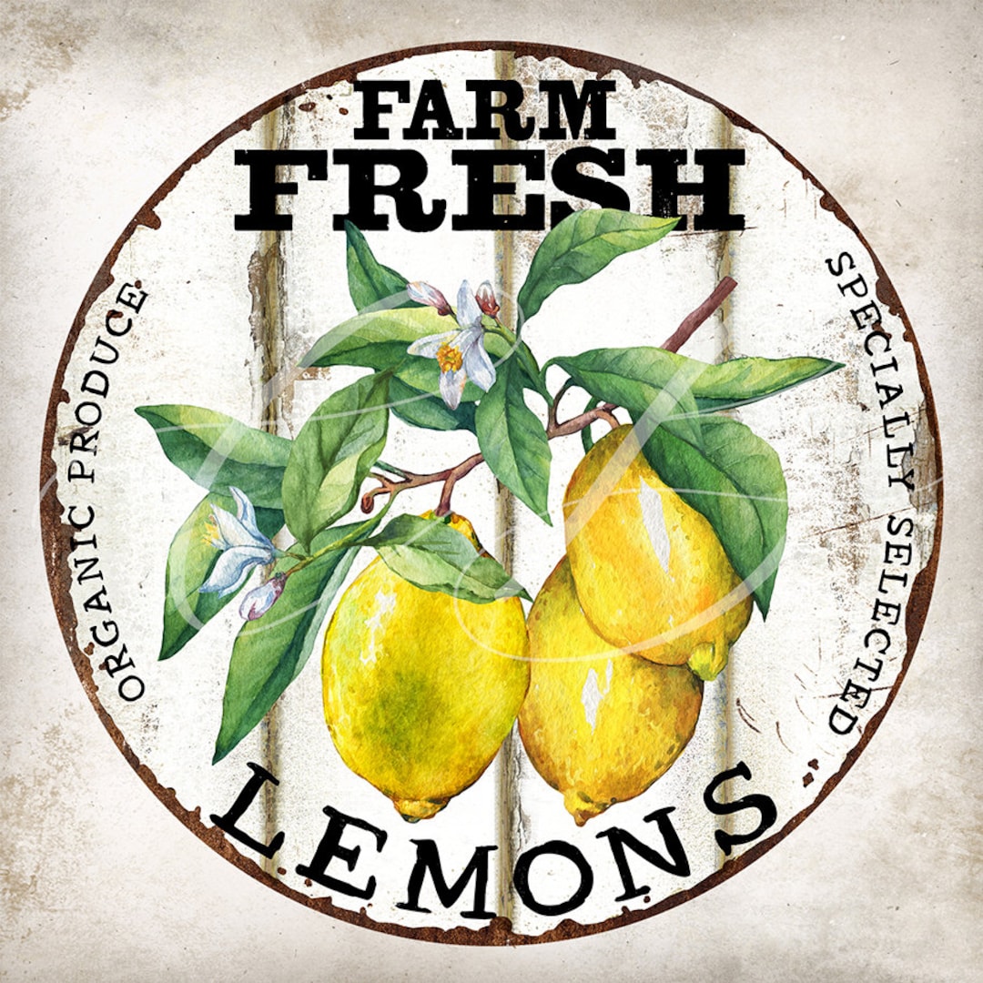 8 Inch Farm Fresh Lemons DIY Kitchen Sign Round Door Hanger Farmhouse ...