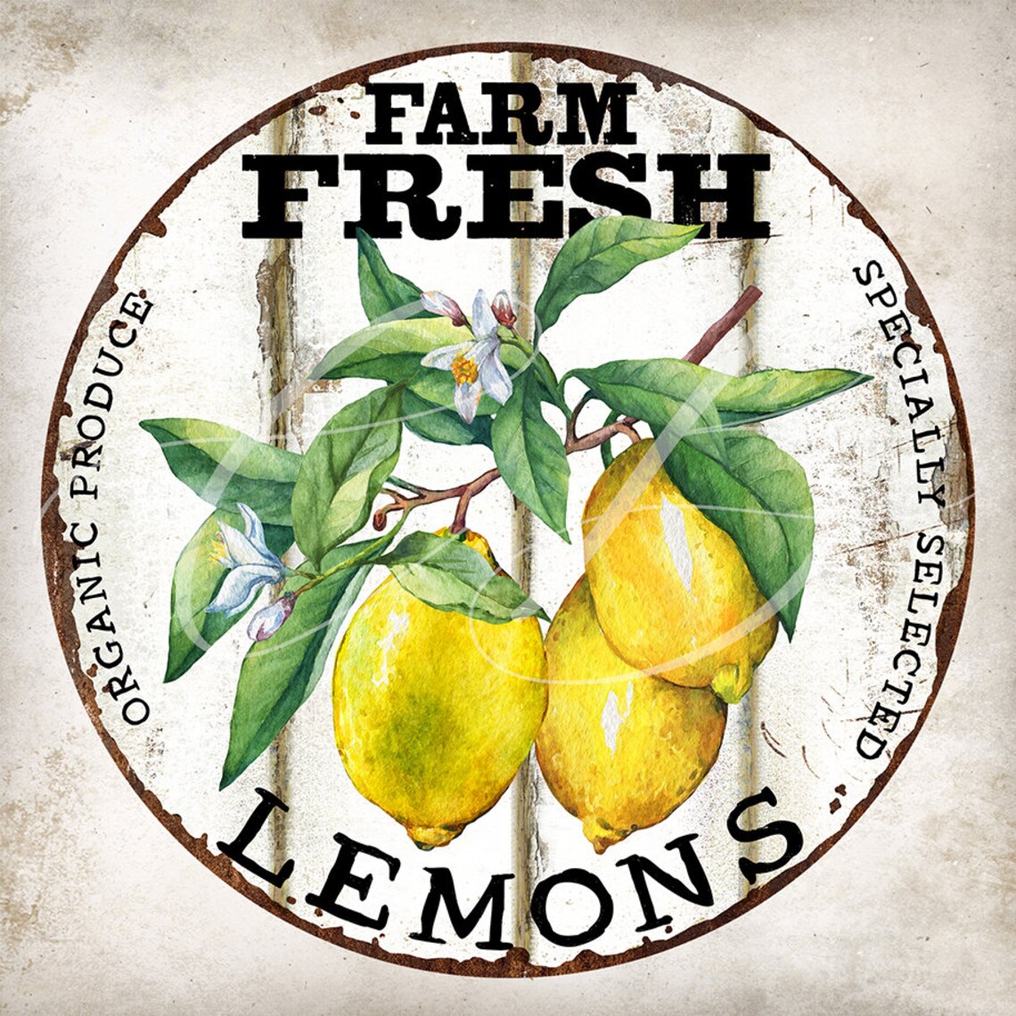 8 Inch Farm Fresh Lemons DIY Kitchen Sign Round Door Hanger Farmhouse ...