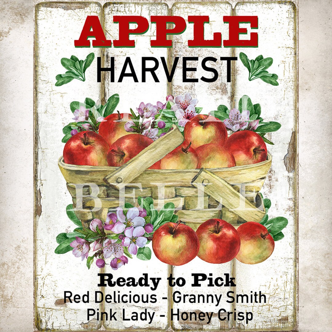 Apple Harvest DIY Sign Fall Apples Tiered Tray Decor Farm Style Apples ...