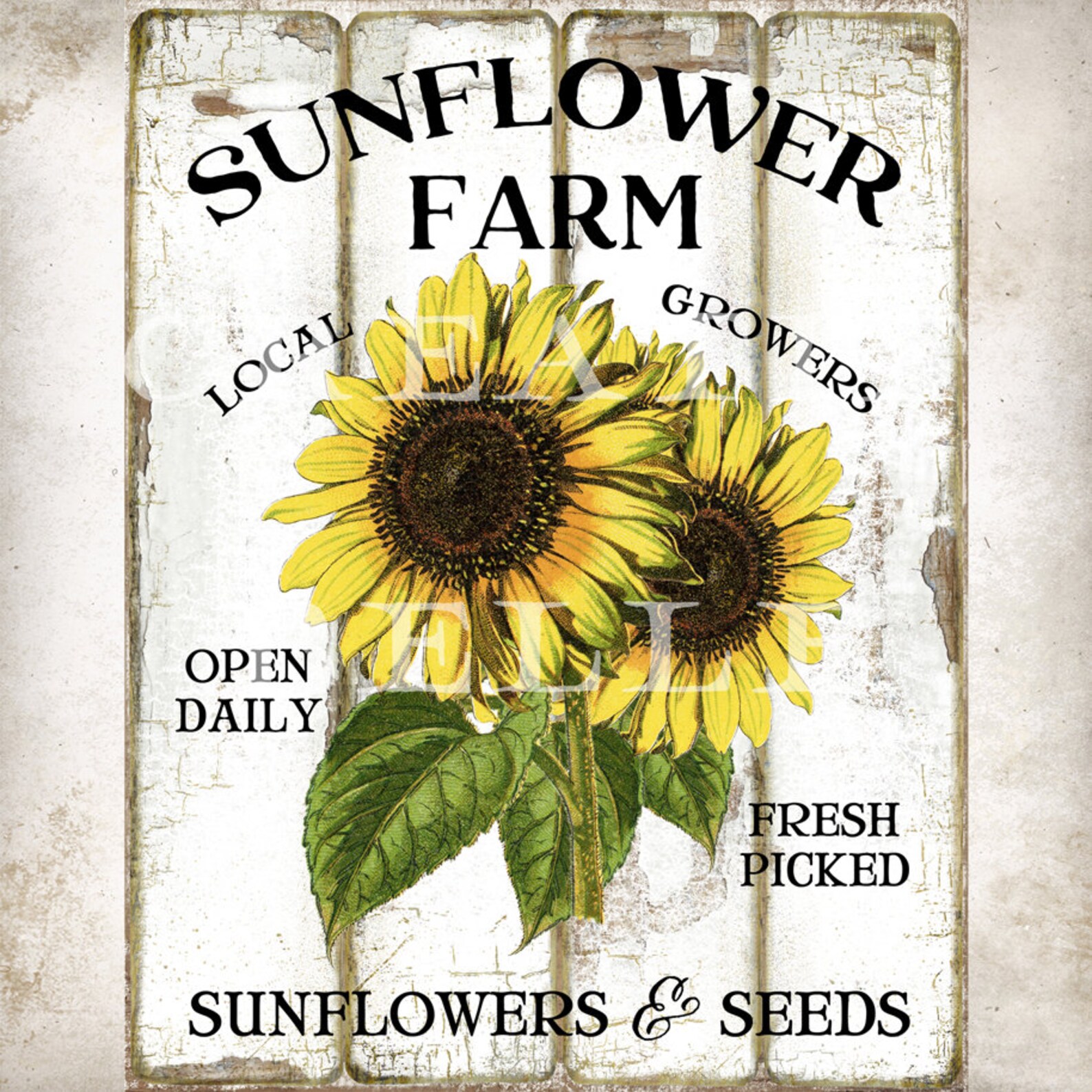 8.5x11 Plus 4 Inch Sq Rustic Chippy Wood Sunflower Farm Sign - Etsy