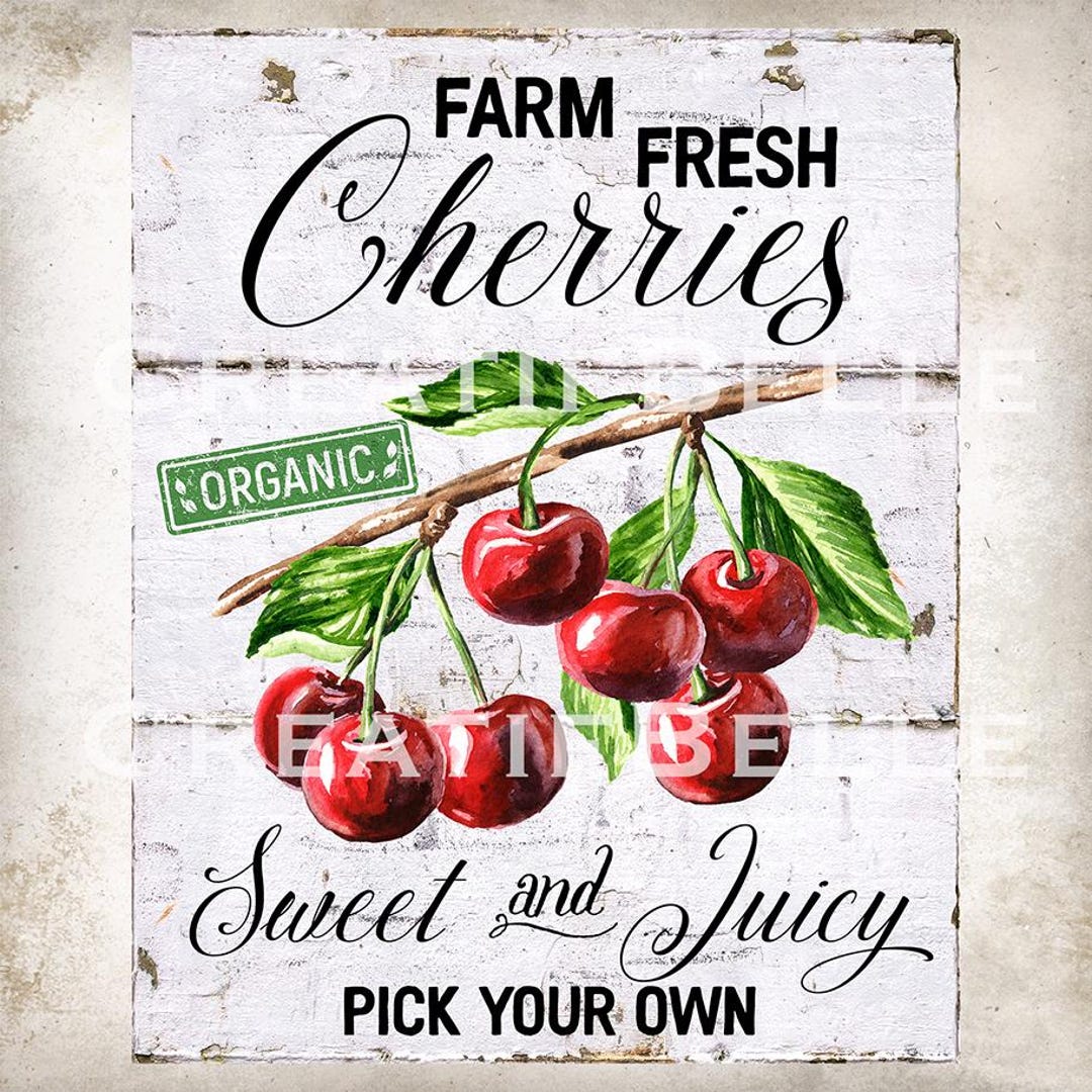 Vintage Cherry DIY Sign, Farmhouse Fruit Kitchen Art, Wreath Decor ...