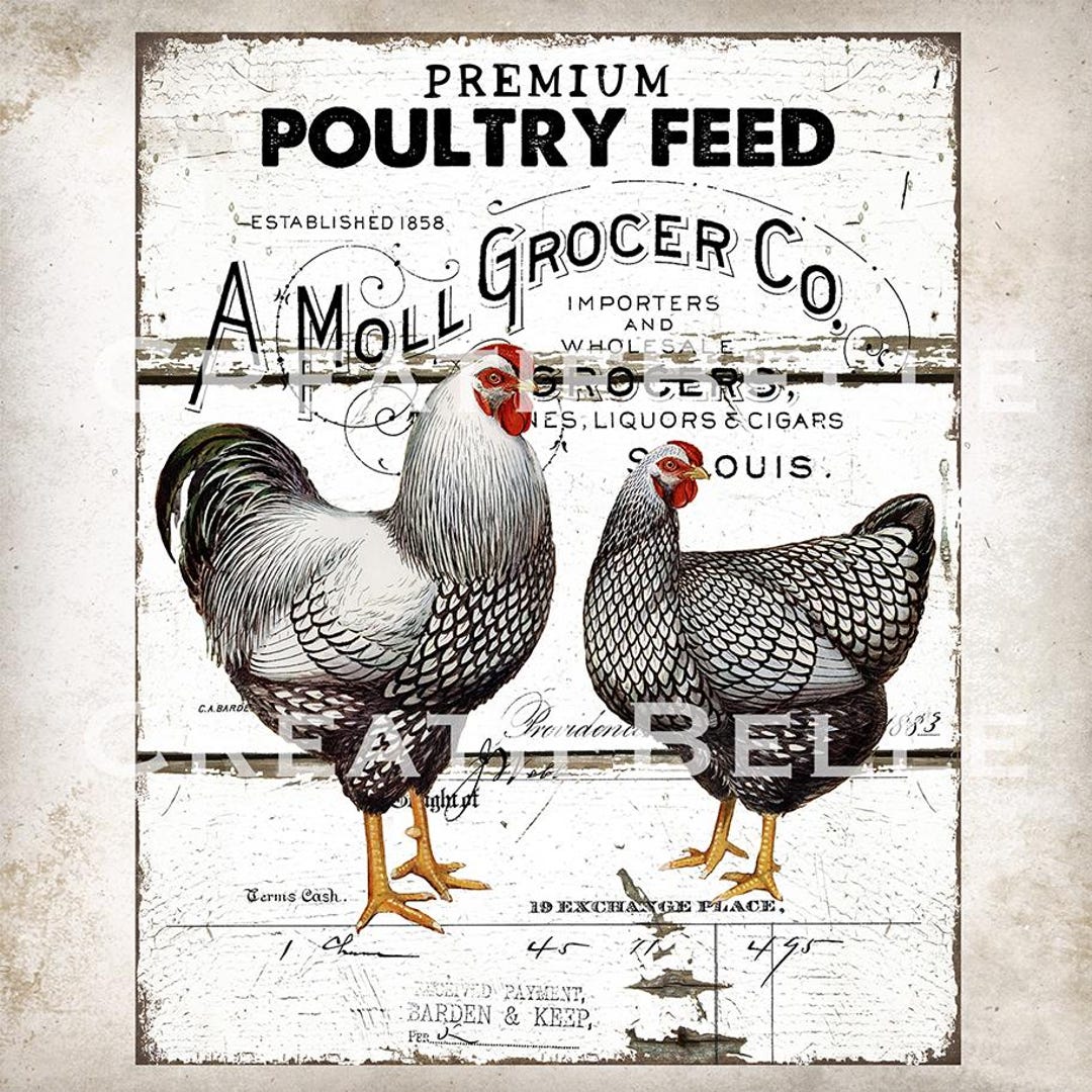 Vintage Rustic Farm Style Chicken DIY Sign Country Farmhouse Poultry ...