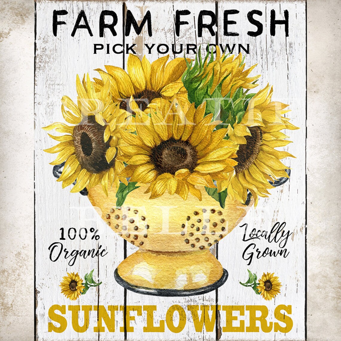 Farm Fresh Sunflower Colander Rustic Country Farmhouse Sunflower Home ...