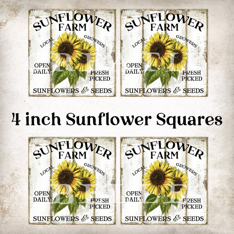 8.5x11 Plus 4 Inch Sq Rustic Chippy Wood Sunflower Farm Sign - Etsy