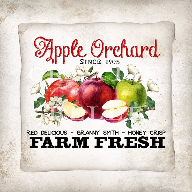 Apple Orchard Farm Fresh Apple Sign Country Farmhouse Decor - Etsy