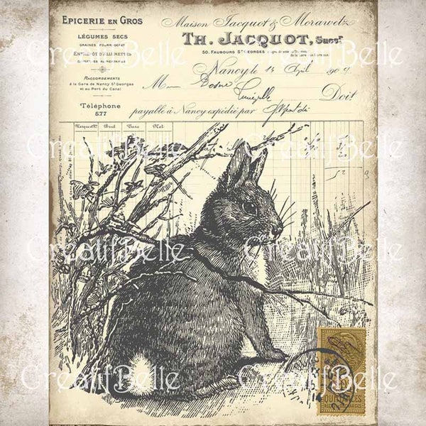 French Rabbit Image - Etsy