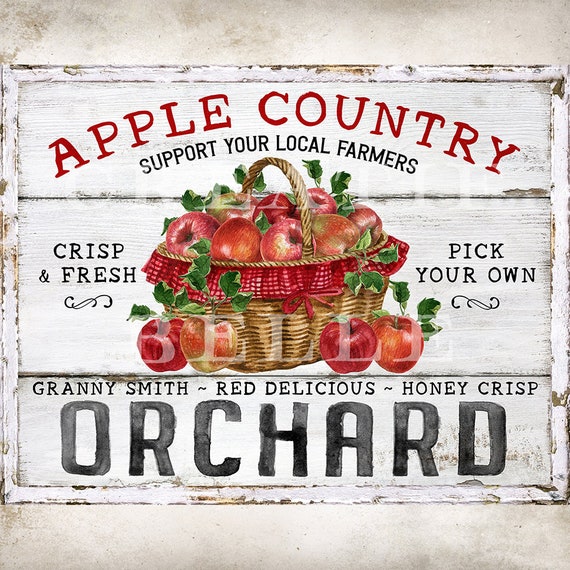 Modern Farmhouse Apple Orchard Sign Country Style Apple | Etsy