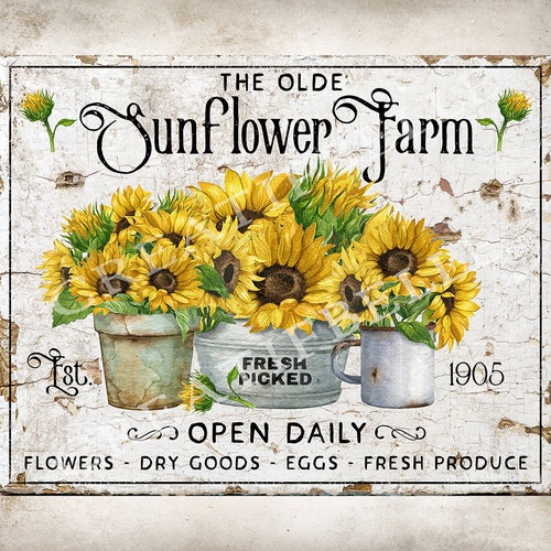 Sunflower Farm Old Sunflower Sign Farmhouse Sunflower Wall - Etsy