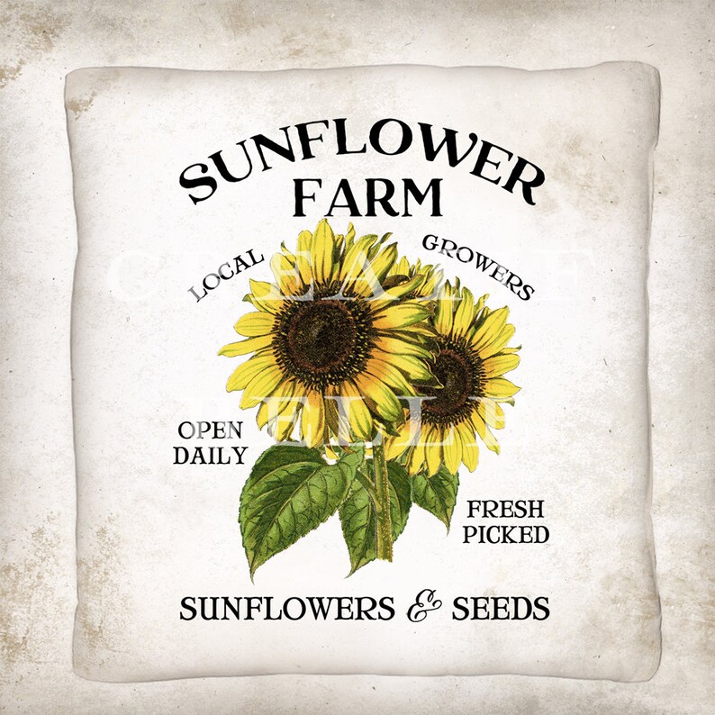 8.5x11 Plus 4 Inch Sq Rustic Chippy Wood Sunflower Farm Sign - Etsy