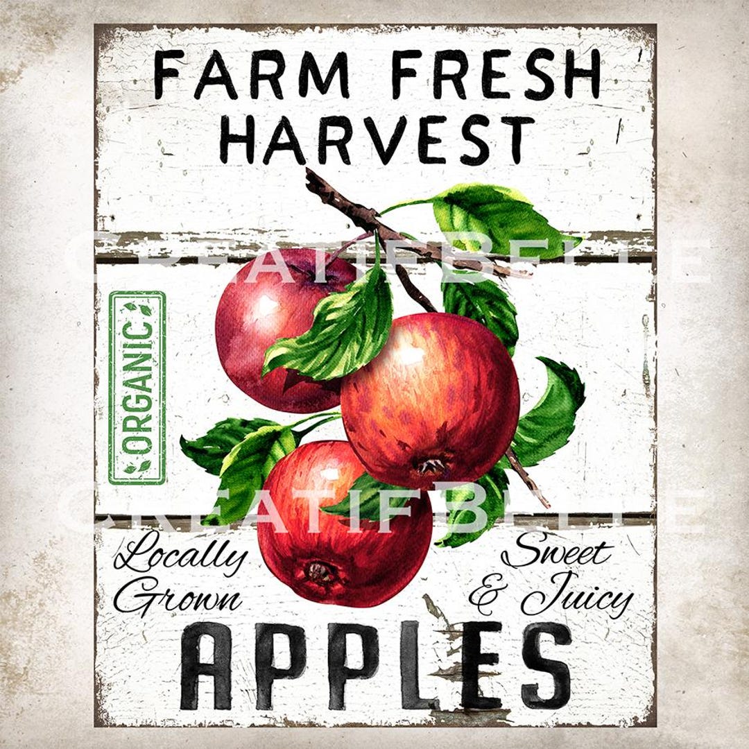 Vintage Farm Style Apple Harvest DIY Sign Making Country Farmhouse ...