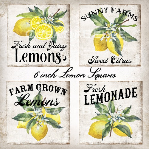 Lemon Signs Kitchen Lemon Sign Lemon Decor Tiered Tray - Etsy