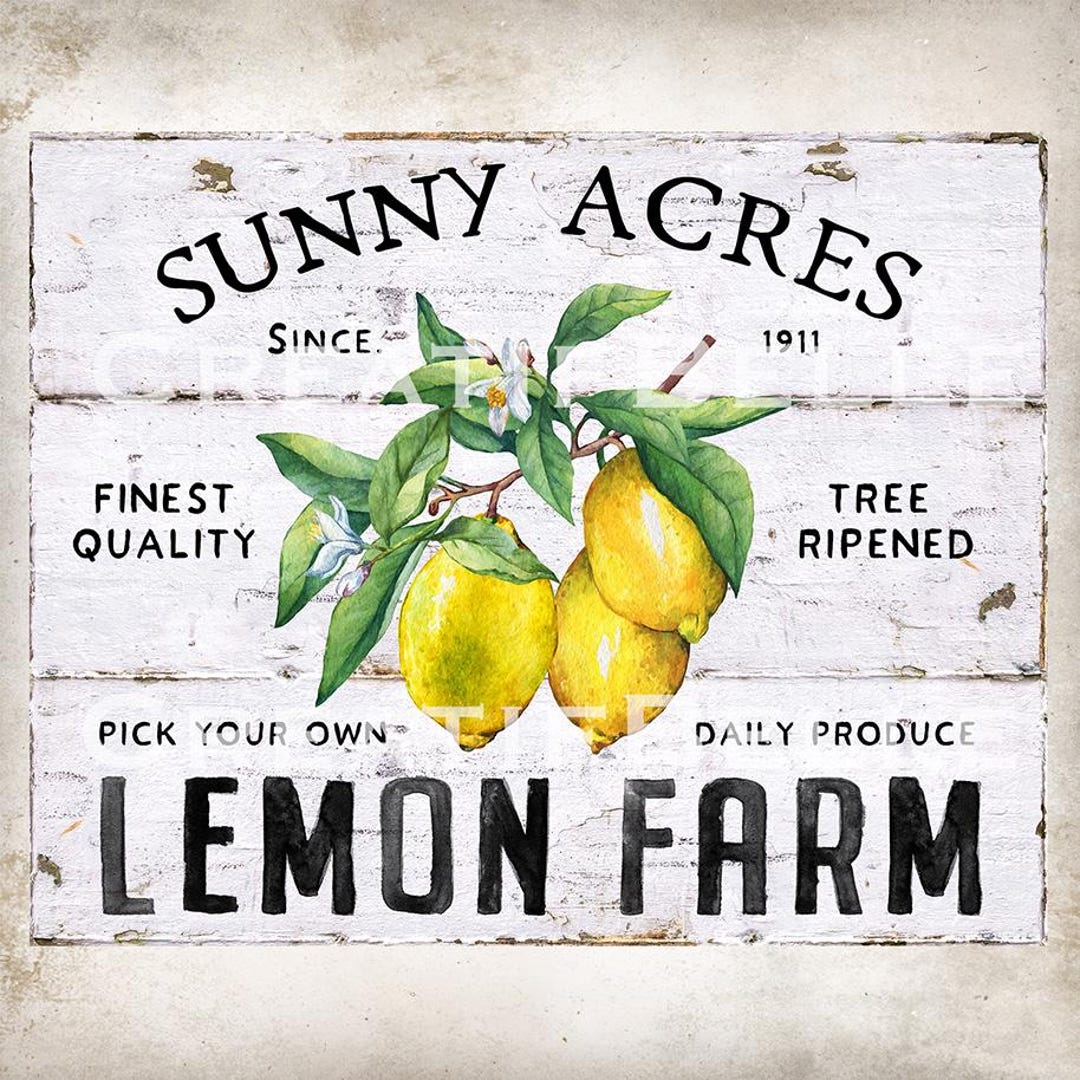 Lemon Farm DIY Sign Modern Farmhouse Lemon Wall Art Summer Fruit Wreath ...