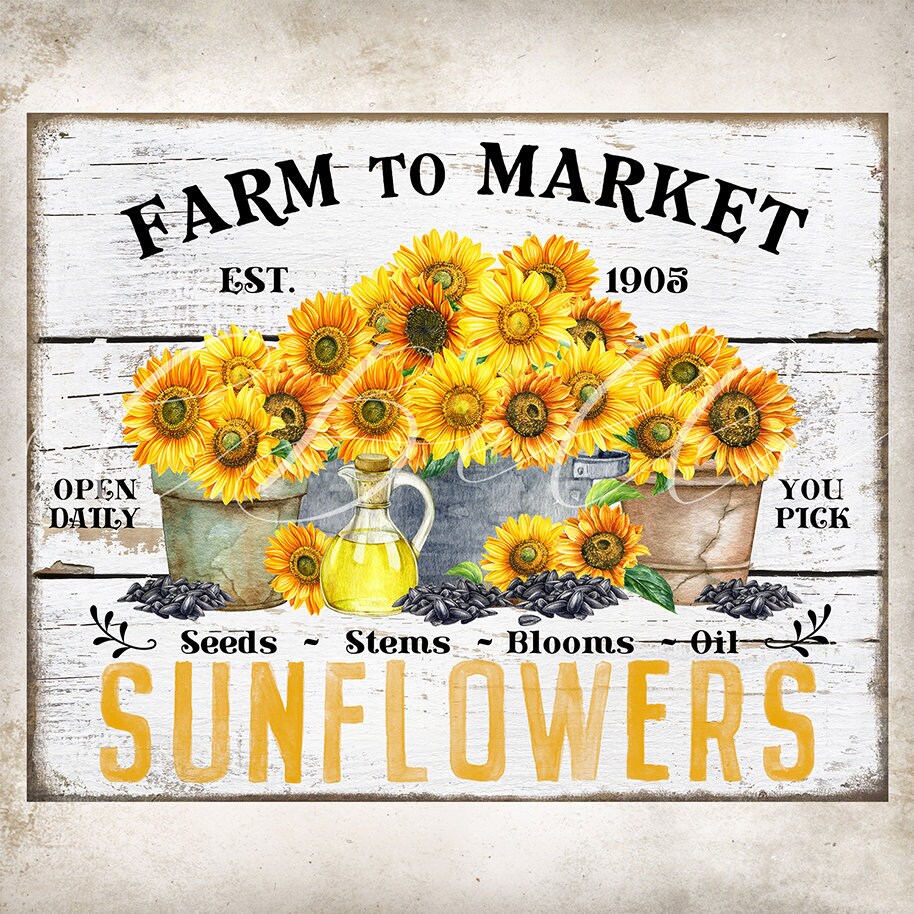 Vintage Sunflower Pots Farmhouse DIY Sunflower Floral Wall Art Home ...
