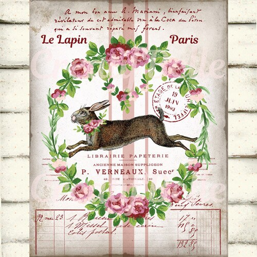 French Rabbit Digital Image Art Graphic Downloadable Printable - Etsy