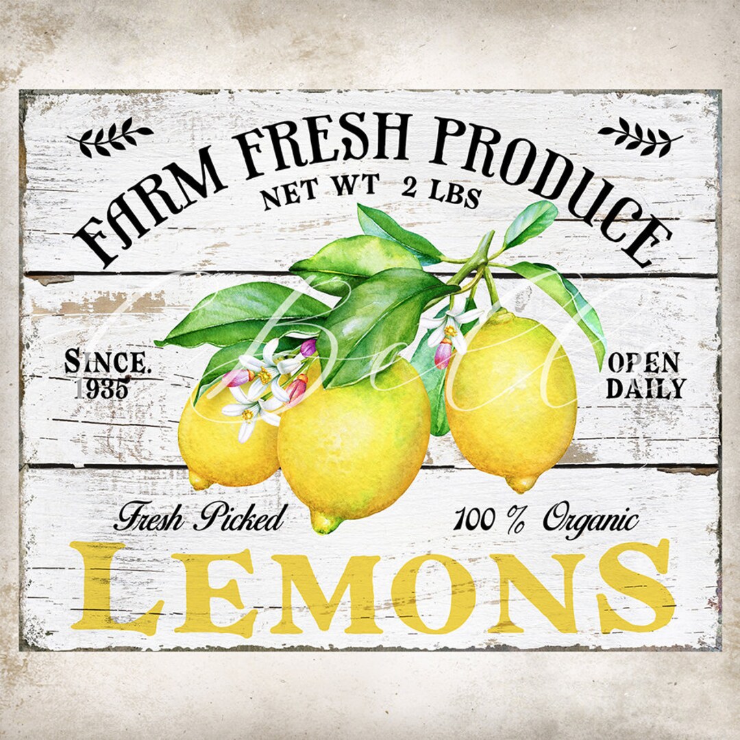 Farm Fresh Lemon Sign, Farmhouse Kitchen Fruit DIY Wall Sign, Farm ...