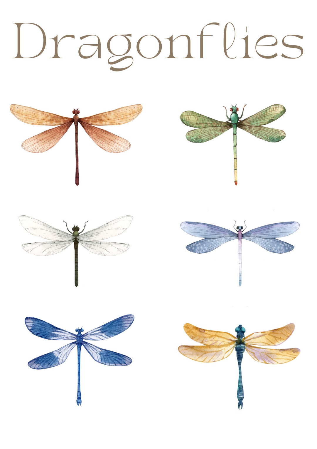 Dragonflies A4 Poster - Etsy