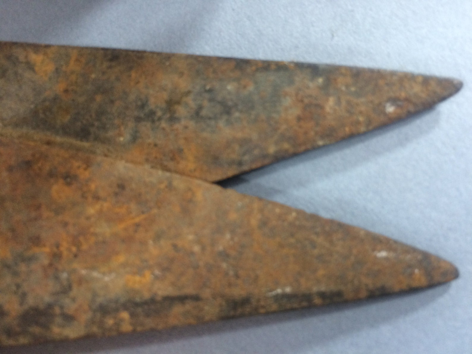 Rustic Sheep Shears | Etsy