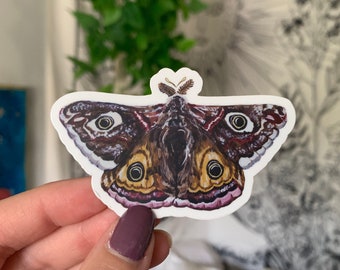 Moth Vinyl Sticker - Etsy