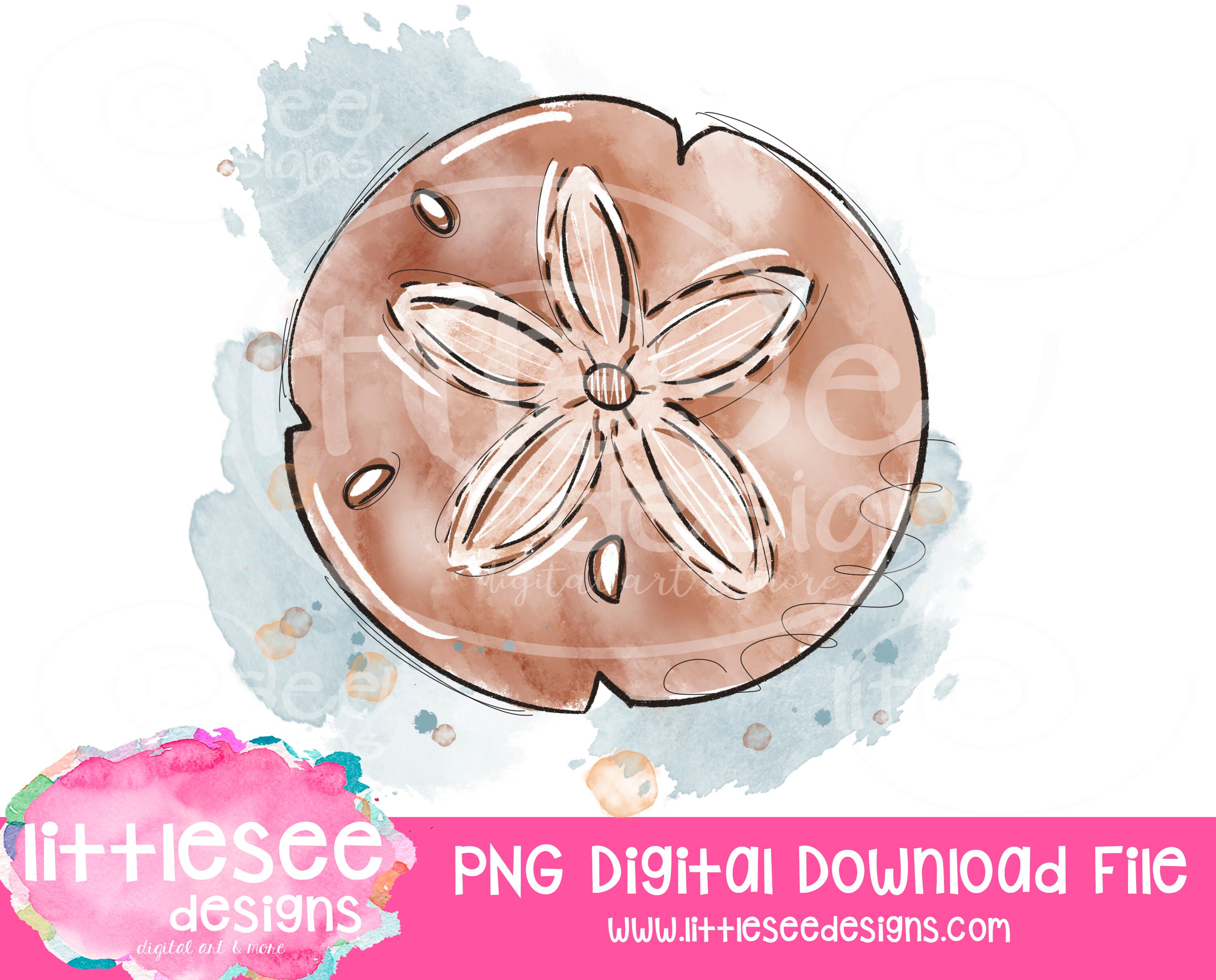 Sand Dollars Clip Art
