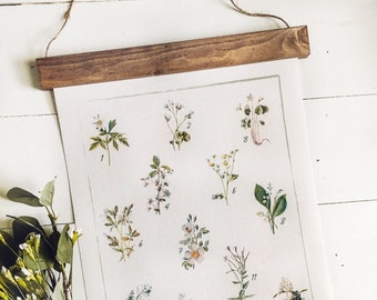 Botanical Canvas Art | Etsy