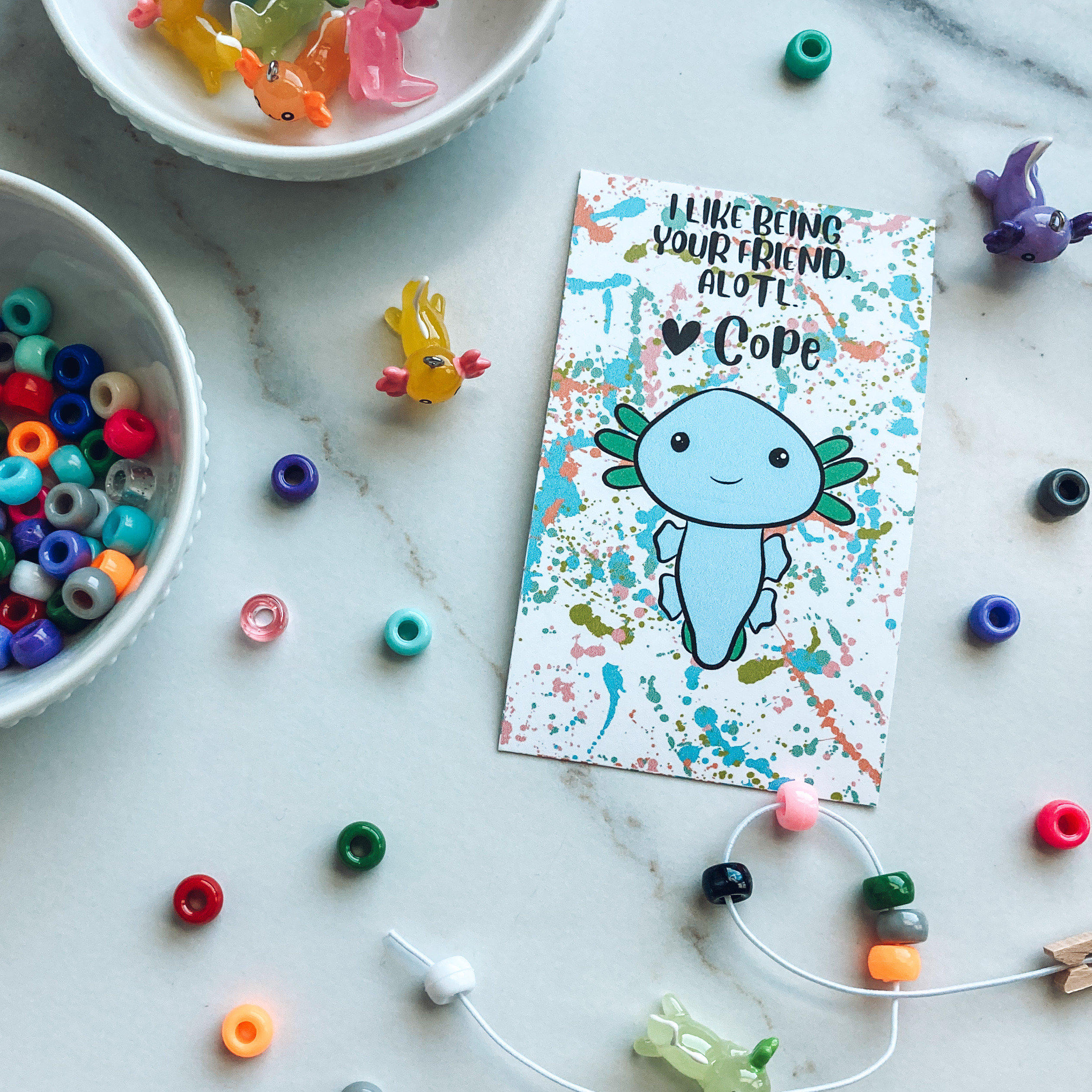 Set of 12, Axolotl, Birthday Cards, Non Candy Group, Friendship ...