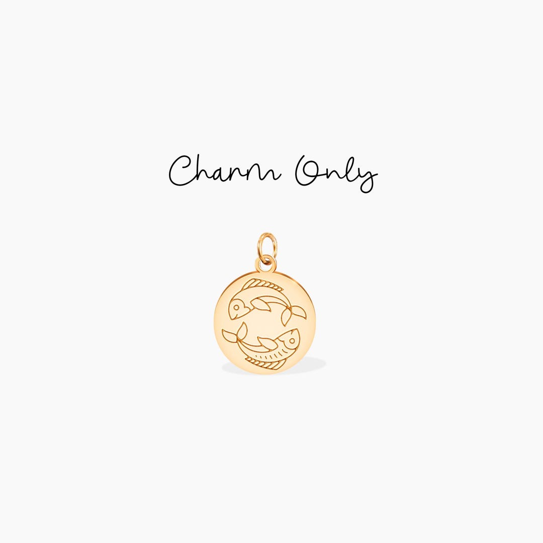 Zodiac Sign Charm Gold Zodiac Disc Charm Add on Charm Astrology Star ...