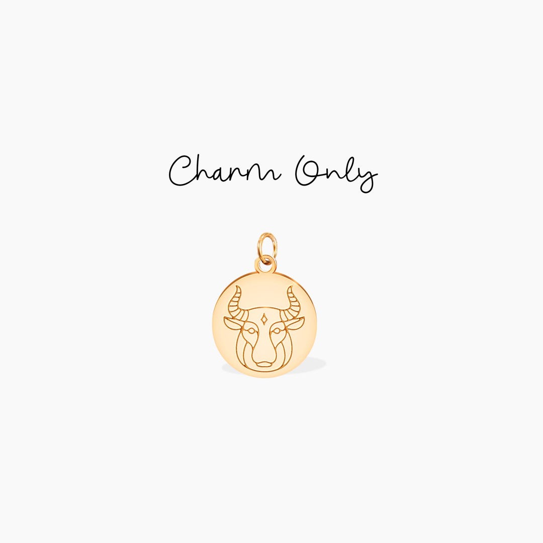 Taurus Charm Zodiac Charm Astrology Pendant Add on Charm Star Sign ...