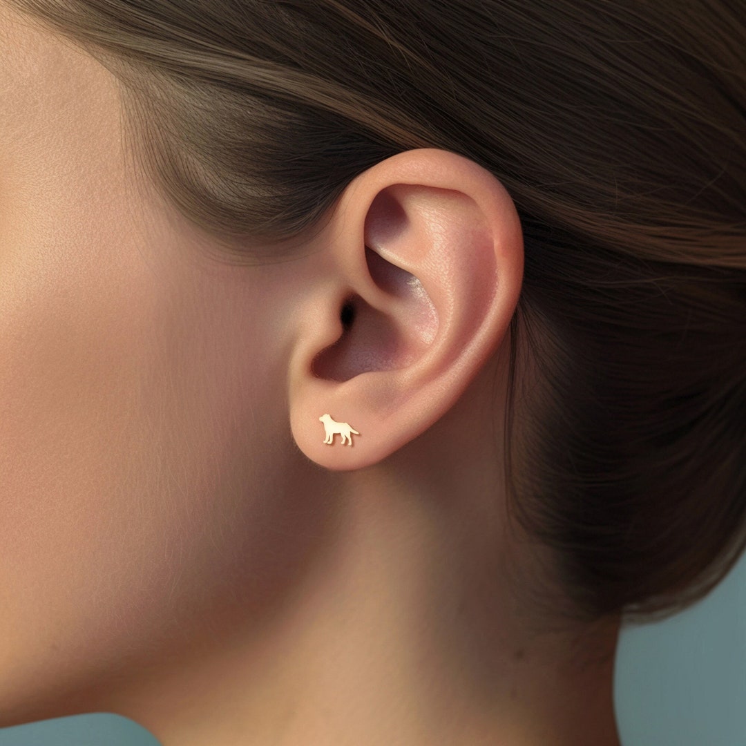 Labrador Dog Earrings, 14K Gold Filled, Sterling Silver, Lab Dog ...