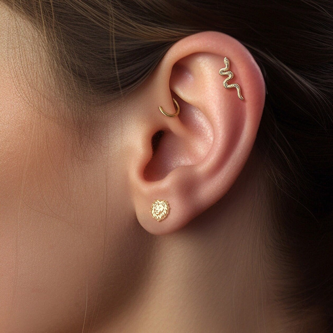 Lion Studs, 14k Gold Fill, Sterling Silver, Rose Gold Fill, Cute Lion ...