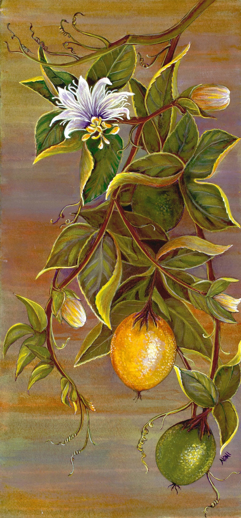 3 Print Set Hawaiian Native Fruits Triptych Pomegranet, Mango, Lilikoi ...