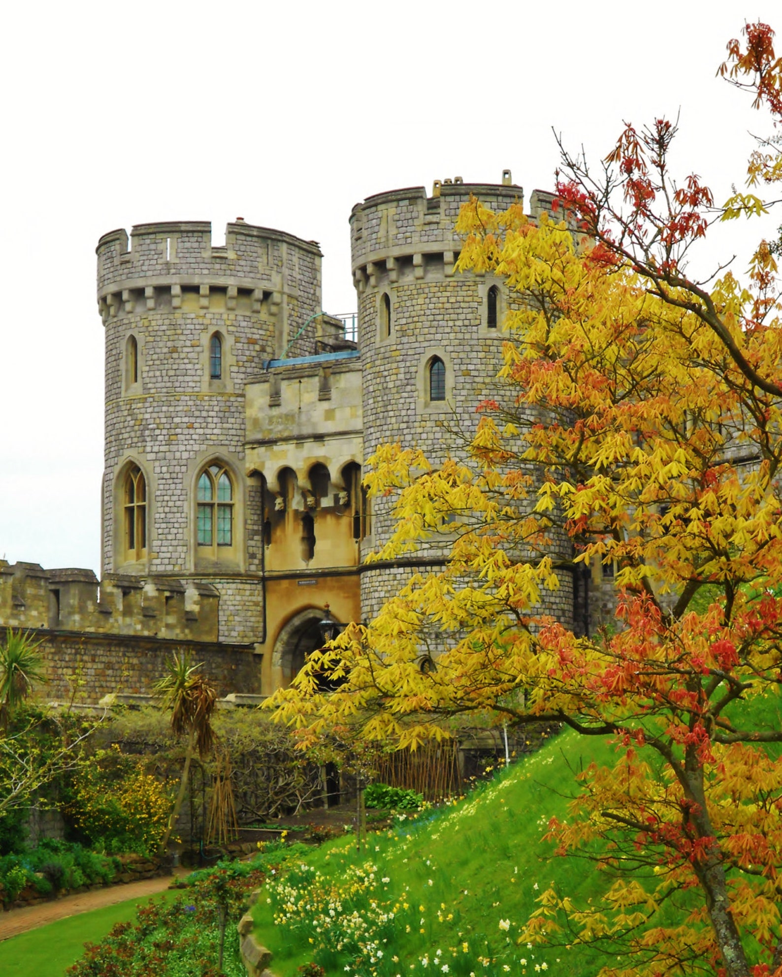 Fall at Windsor Castle - London, England, United Kingdom - Color 8x10 ...