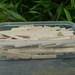 Bulk Box* 100 Sq Ins REAL STONE York Sandstone Offcuts for Miniature ...