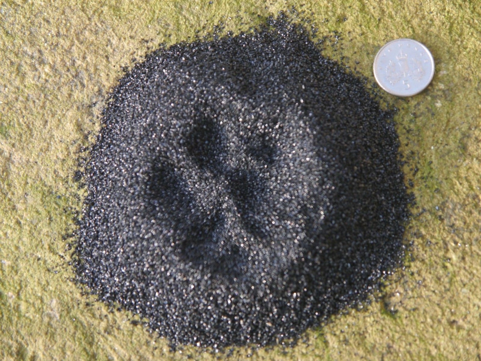 25 Sq Ins Black Grit for Miniature Asphalt Roads , Driveways or Flat ...