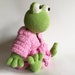 Kimmi the Frog PDF Crochet Pattern - Etsy