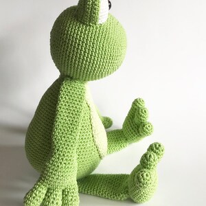 Kimmi the Frog PDF Crochet Pattern - Etsy