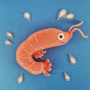 Sil the Shrimp PDF Crochet Pattern - Etsy