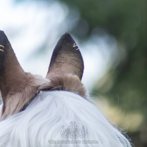 Realistic Brown Bunny Ears Faux Fur Rabbit, Faun, Deer, Satyr, Cow ...