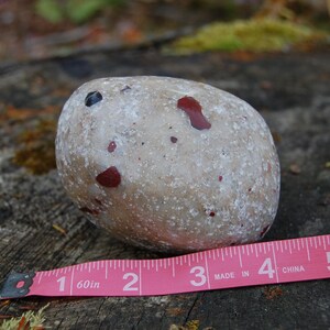 Giant Tumbled Puddingstone (weighs Over a Pound) - Etsy