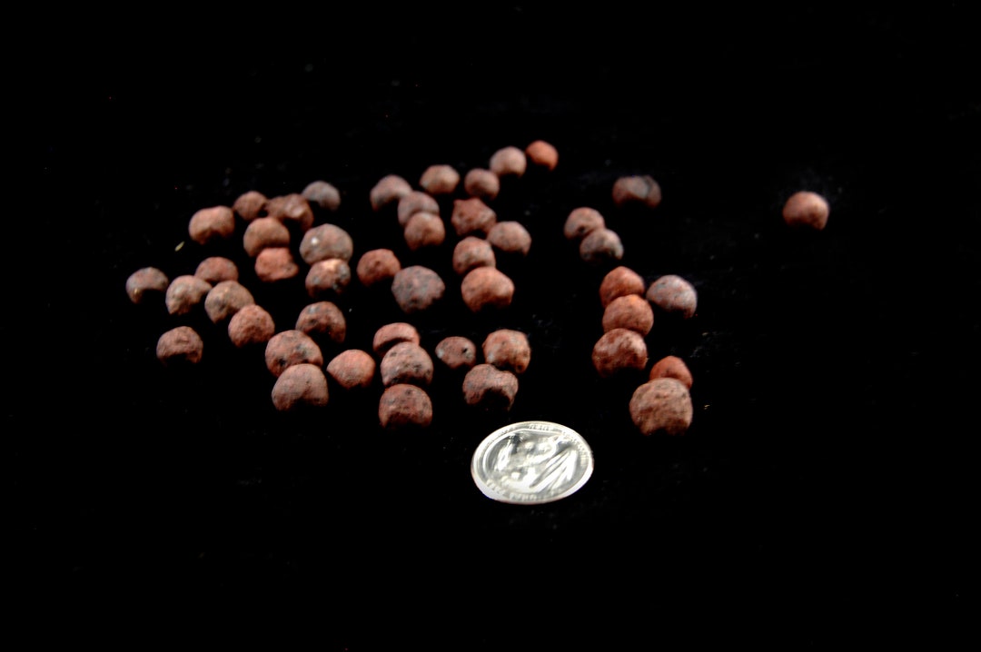 Taconite Pellets (lot of 12) - Etsy