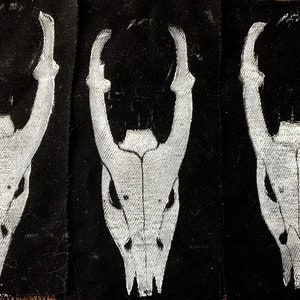 Muntjac Skull Sew on Patch - Etsy