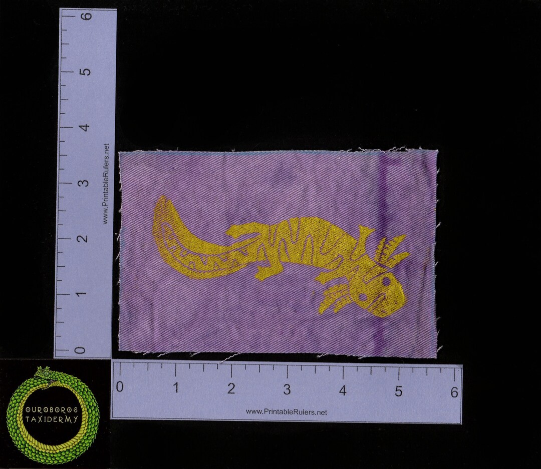 Axolotl Patch - Etsy