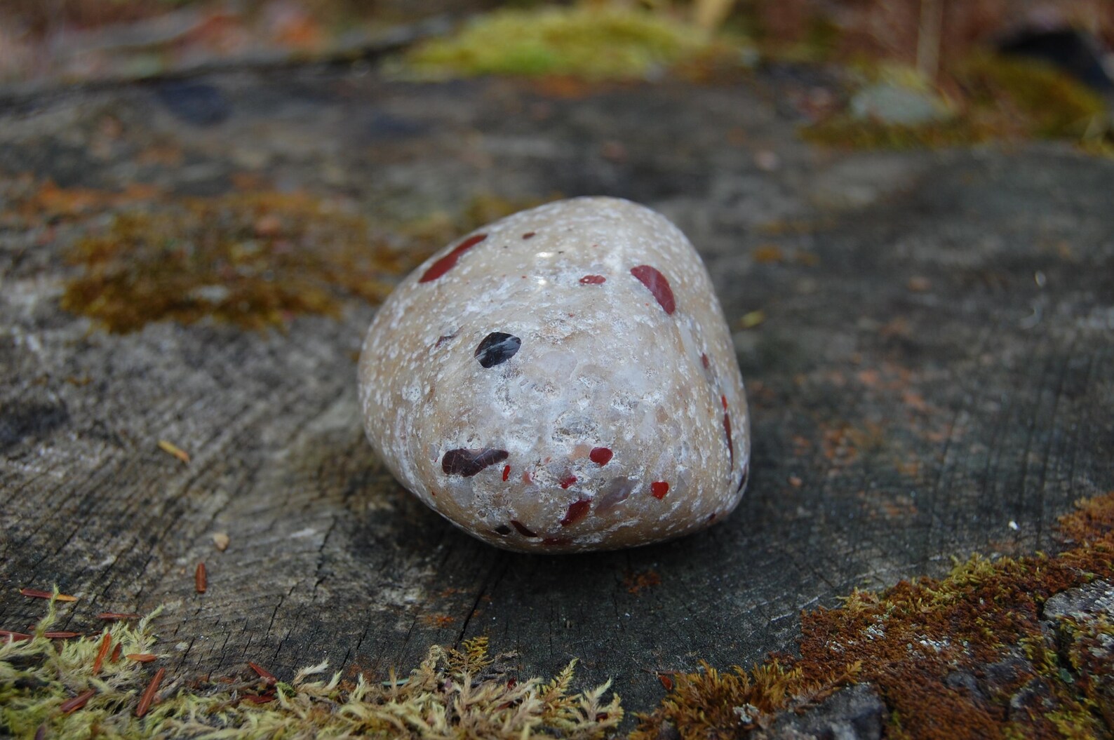 Giant Tumbled Puddingstone weighs Over a Pound - Etsy
