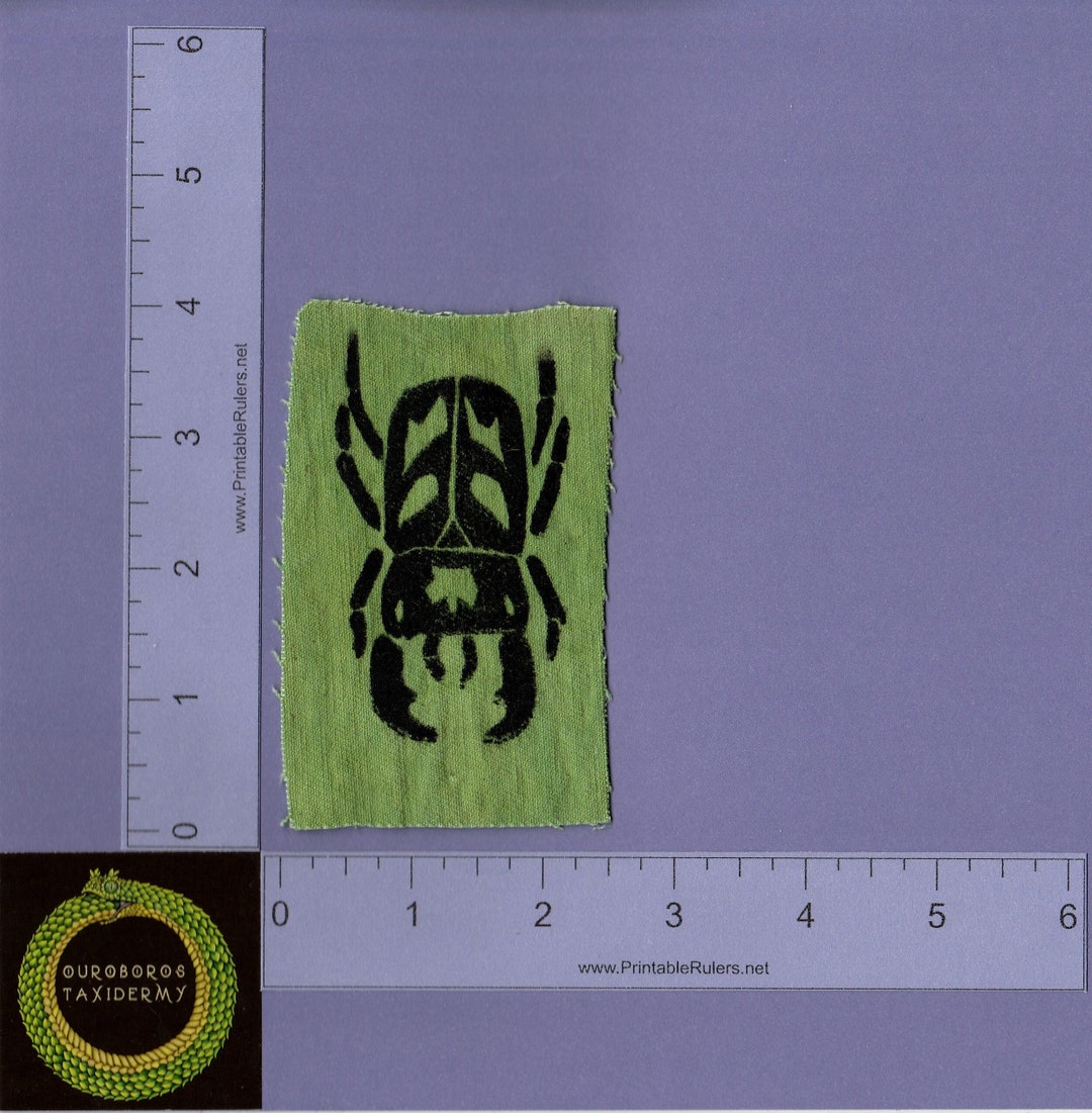 Stag Beetle Patch - Etsy