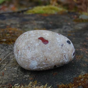 Giant Tumbled Puddingstone (weighs Over a Pound) - Etsy