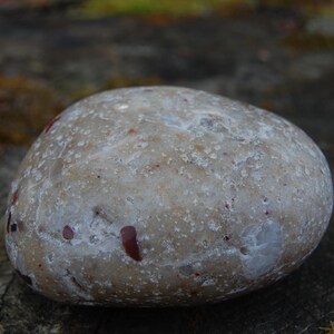 Giant Tumbled Puddingstone (weighs Over a Pound) - Etsy