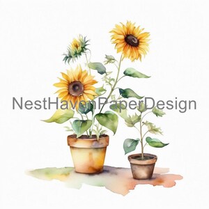 Potted Sunflower Plants Clipart Printable JPG for Crafts Journals ...