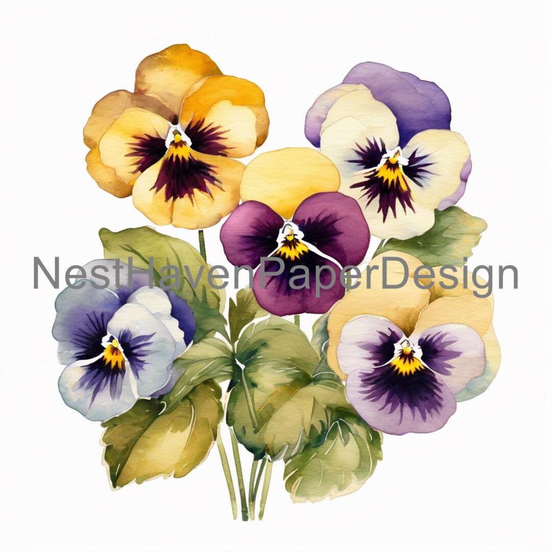 12 Pc Pansy Flowers Printable Watercolor Clipart High Quality JPG ...