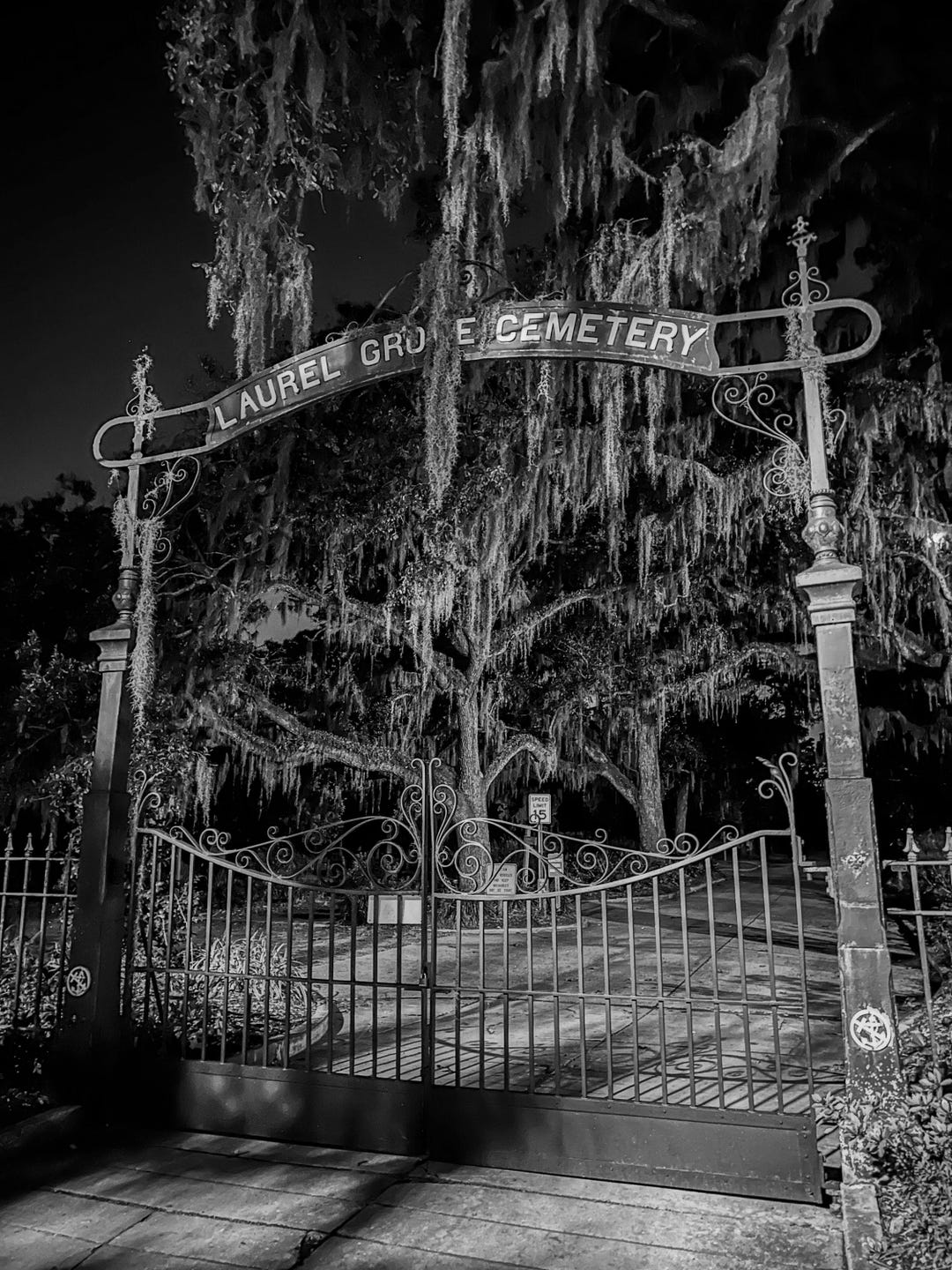 Original Black & White Print of Laurel Grove Cemetery Gates savannah ...