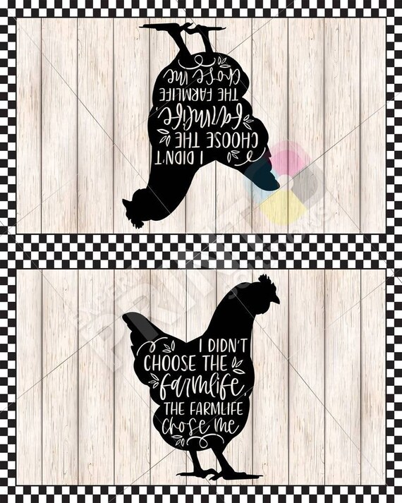 Chicken Mailbox Pattern