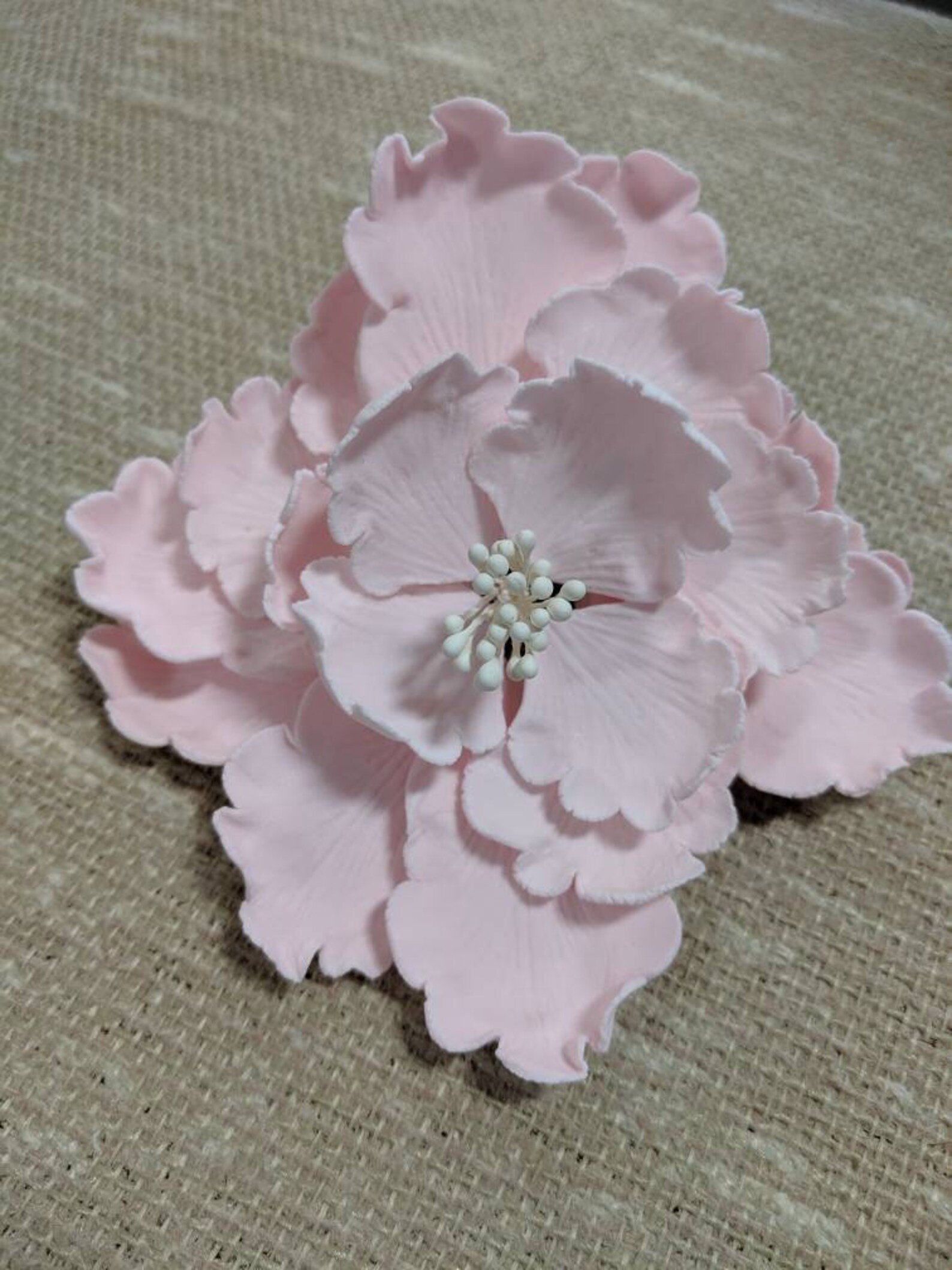 4 Large Pink Garden Peony Cake Topper/ Edible Blush Pink - Etsy